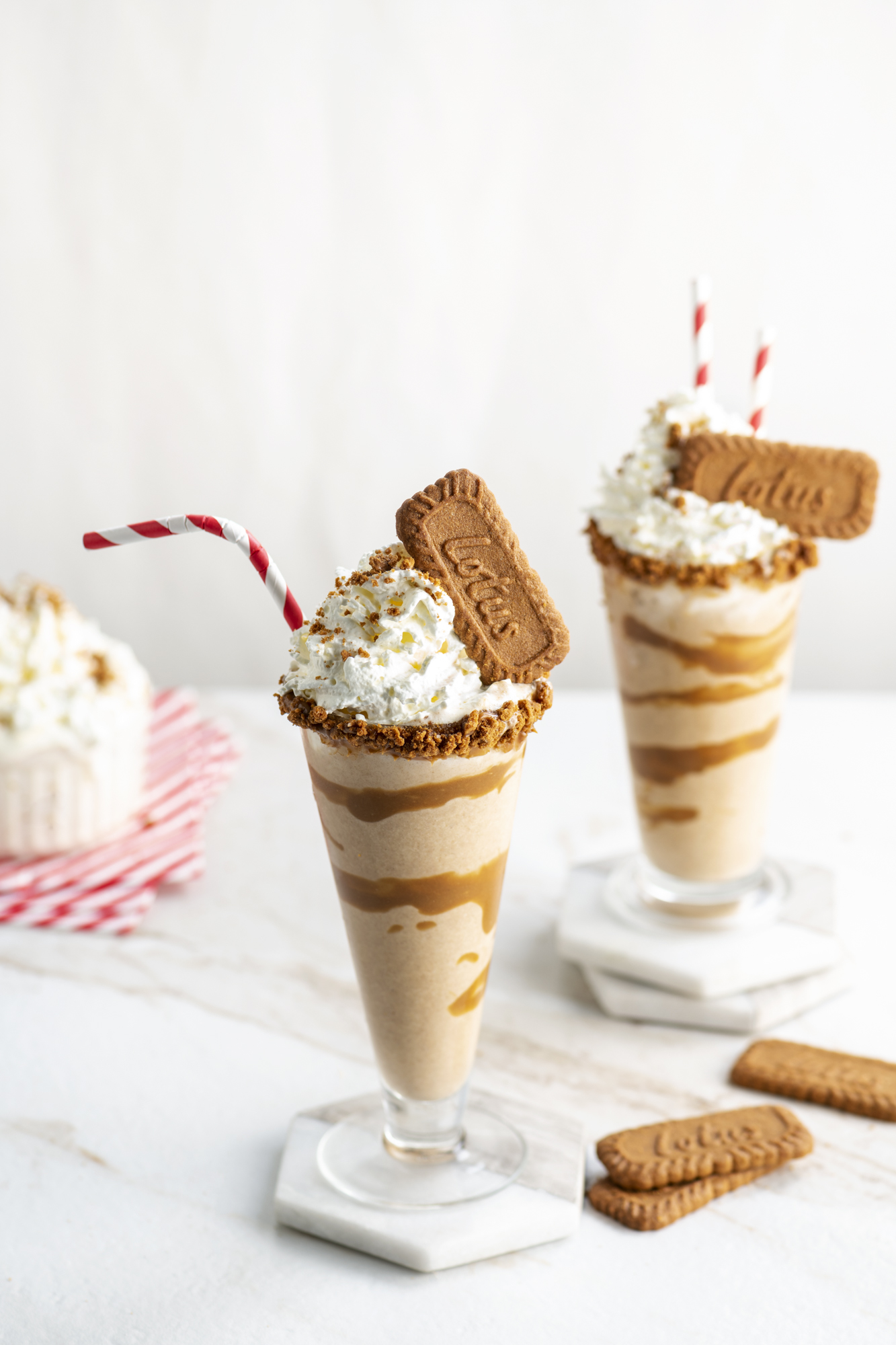 Biscoff cookie crumbs 750 g | Lotus Biscoff