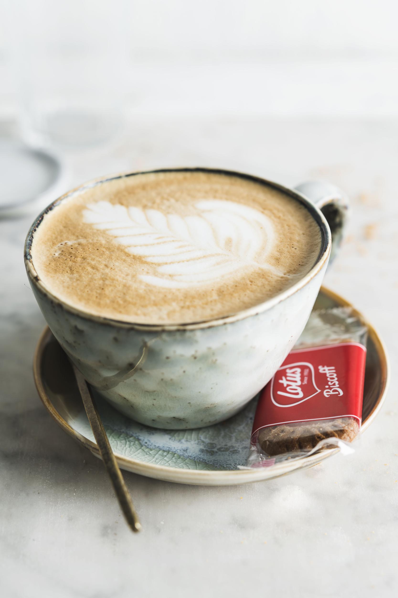 Lotus Biscoff Cookie | Lotus Biscoff