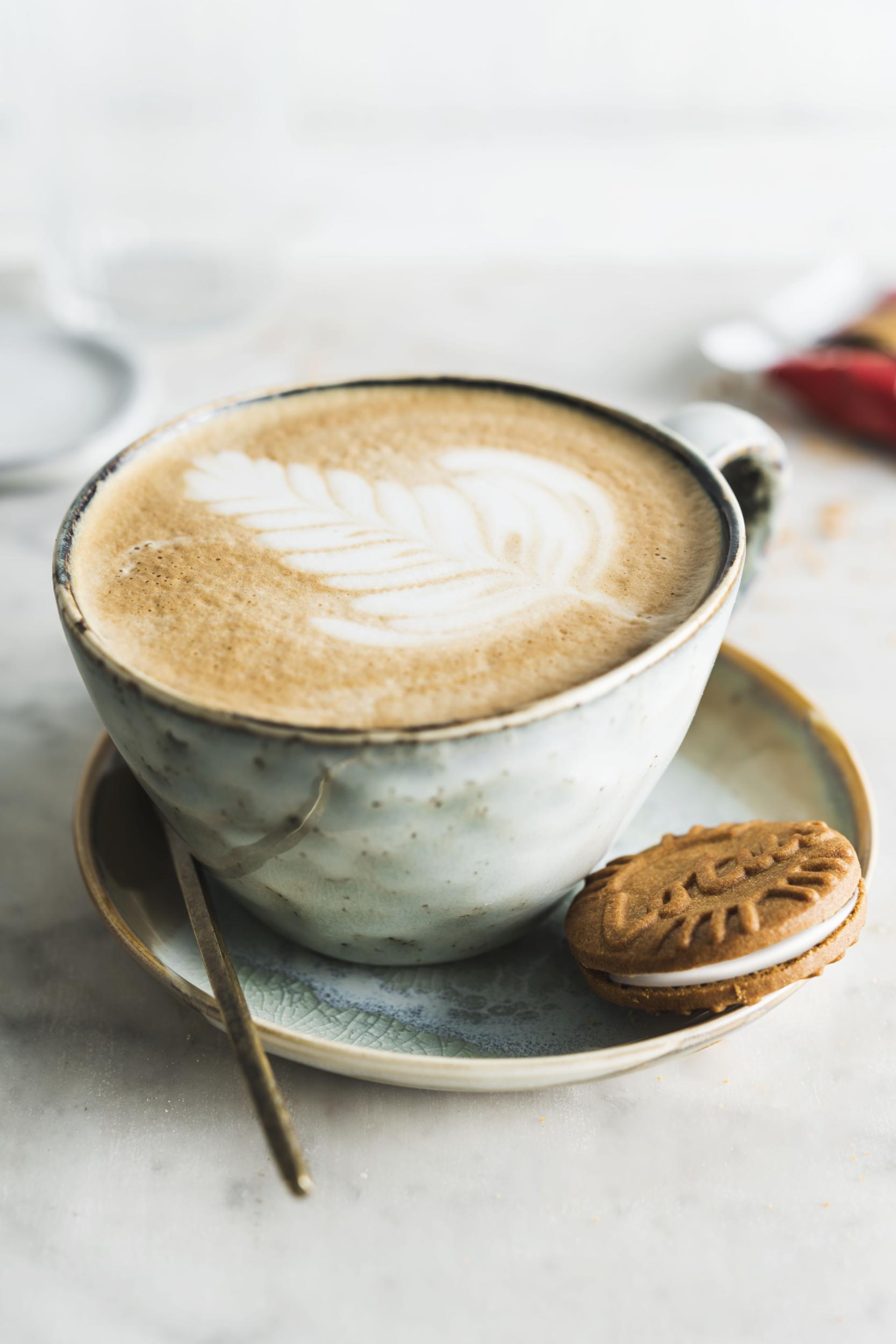 Biscoff Sandwich Cookies 120x1 | Lotus Biscoff