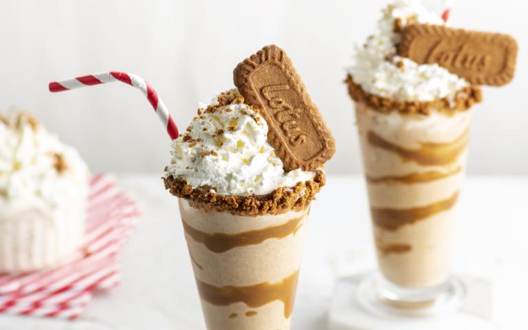 Biscoff cookie crumbs 750 g | Lotus Biscoff