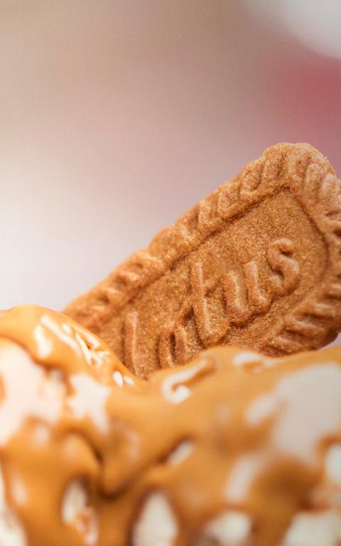 Biscoff topping 1kg | Lotus Biscoff