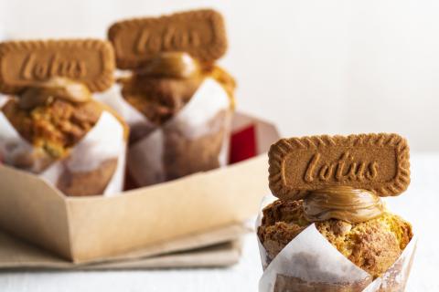Biscoff Spread 3kg | Lotus Biscoff